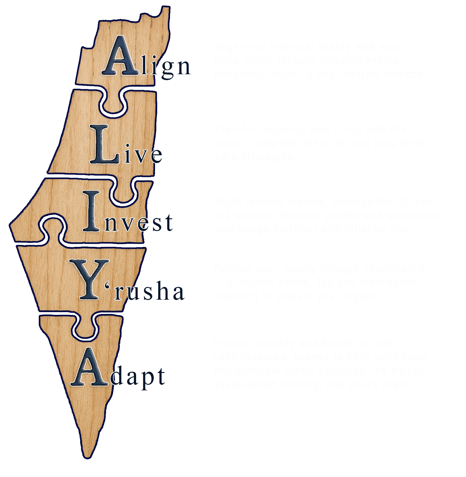 Aliya Financial - Cross-Border Financial Planning for Successful Aliyah